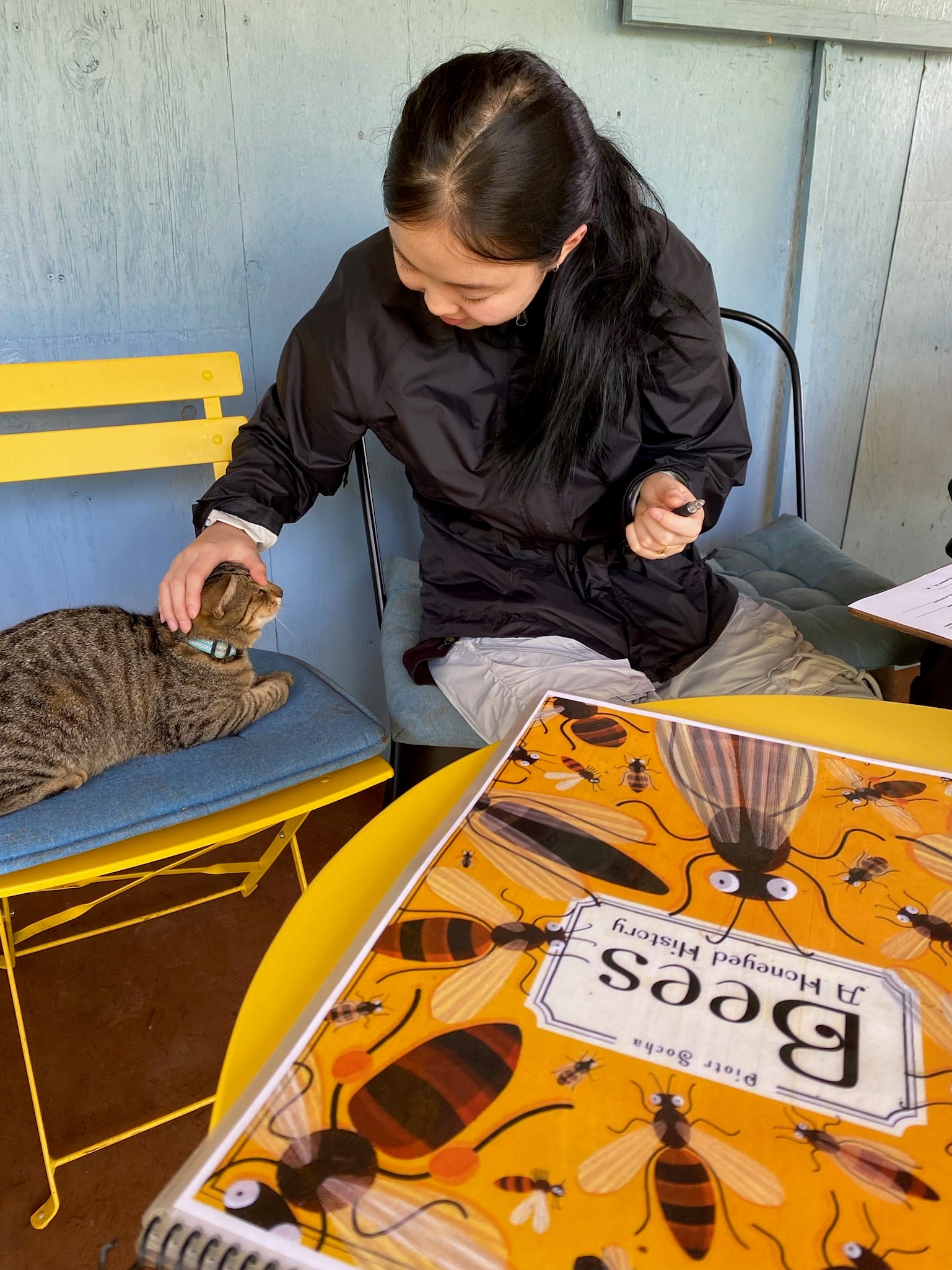 Bee Farm Tour & Honey Tasting in North Shore, Oahu – Hi Honey Farm