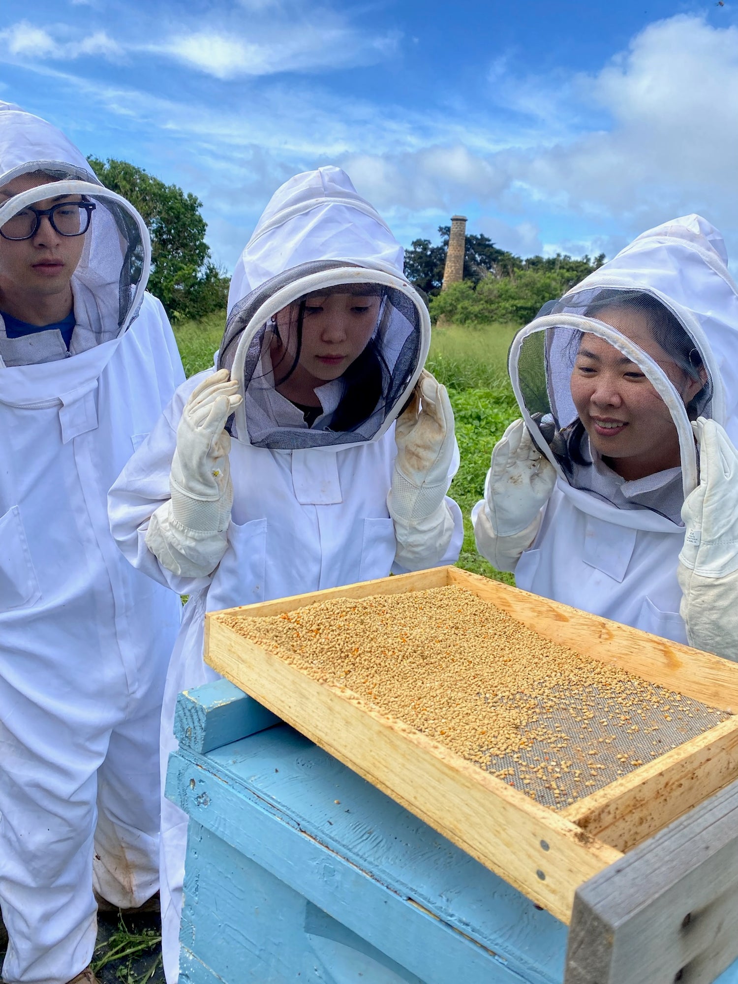 Bee Farm Tour & Honey Tasting in North Shore, Oahu – Hi Honey Farm