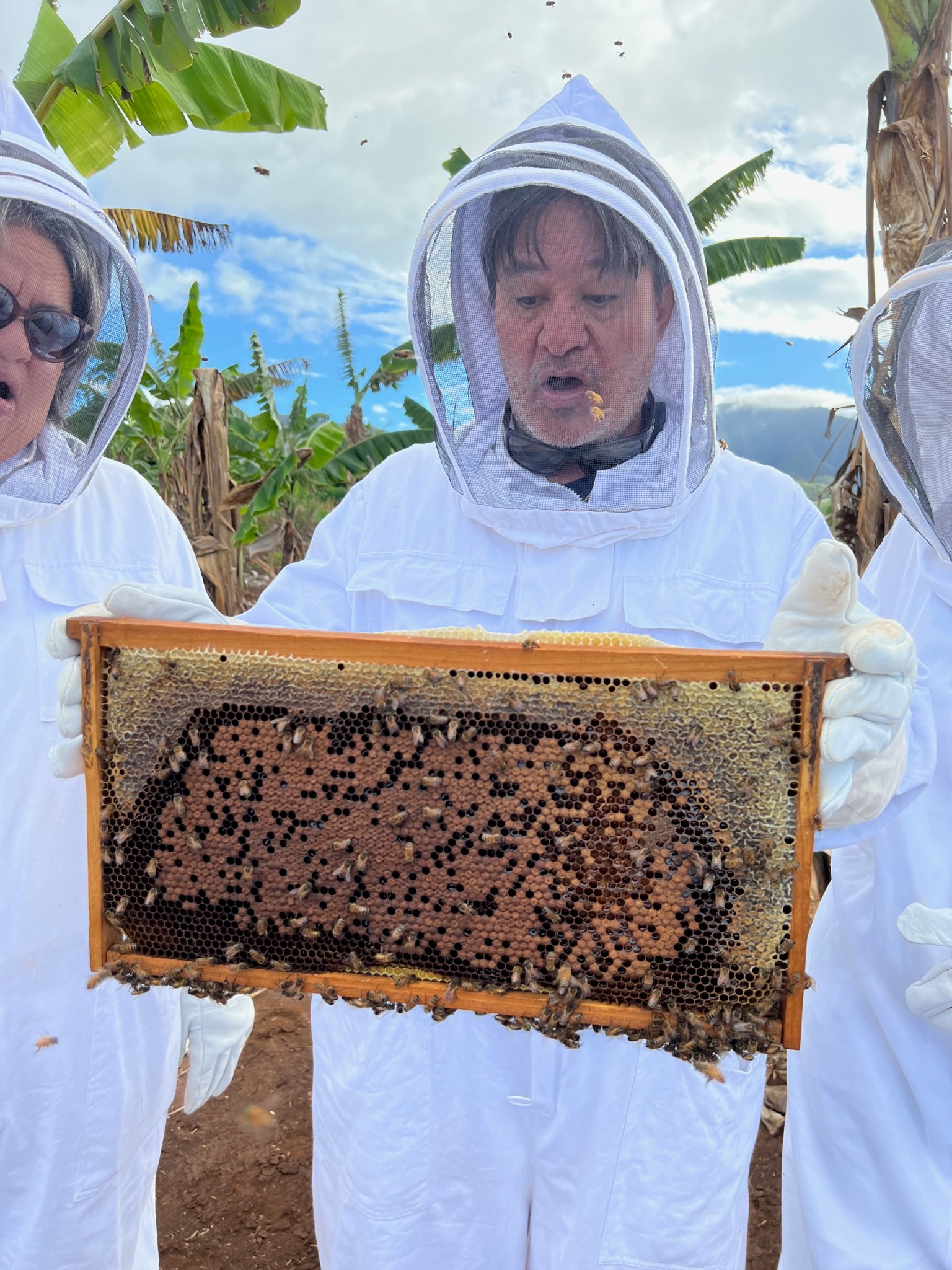 Bee Farm Tour & Honey Tasting in North Shore, Oahu – Hi Honey Farm