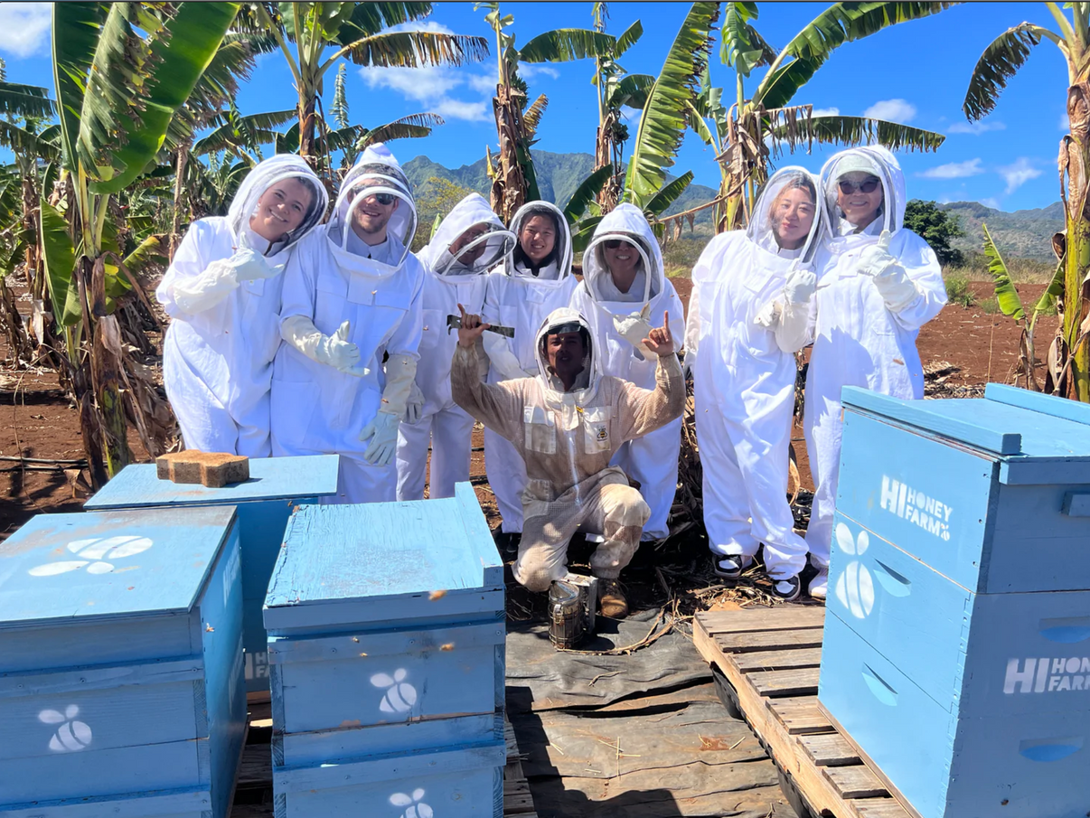 Apiary Tour & Honey Tasting Gift Certificate – Hi Honey Farm